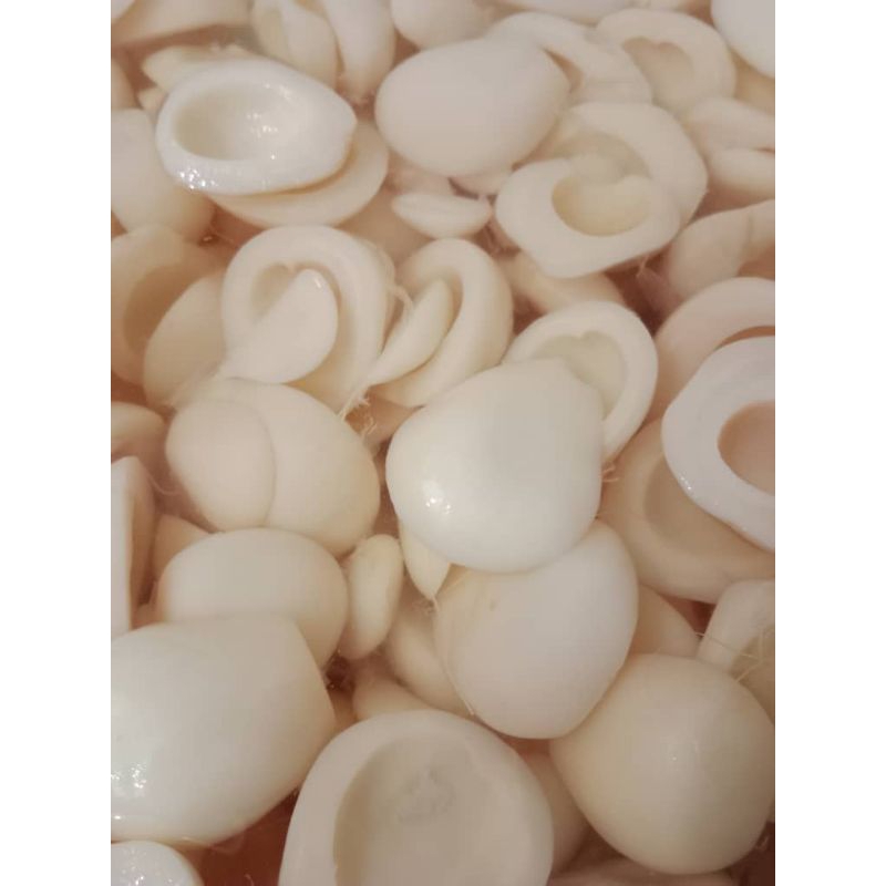 Jeruk Salak Madu Penang(500g) | Shopee Malaysia