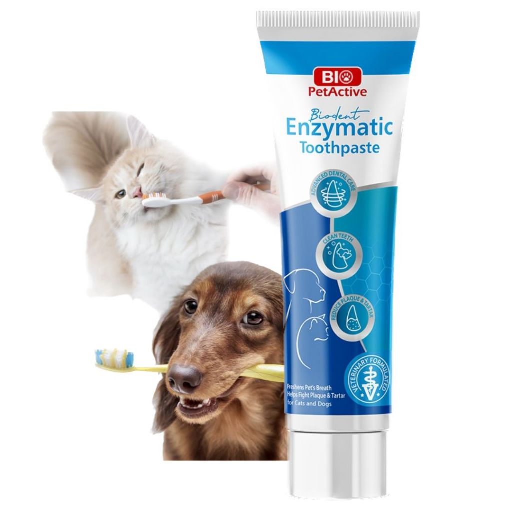 BioPetActive Biodent Enzymatic Toothpaste (100ml) For Pets | Shopee ...