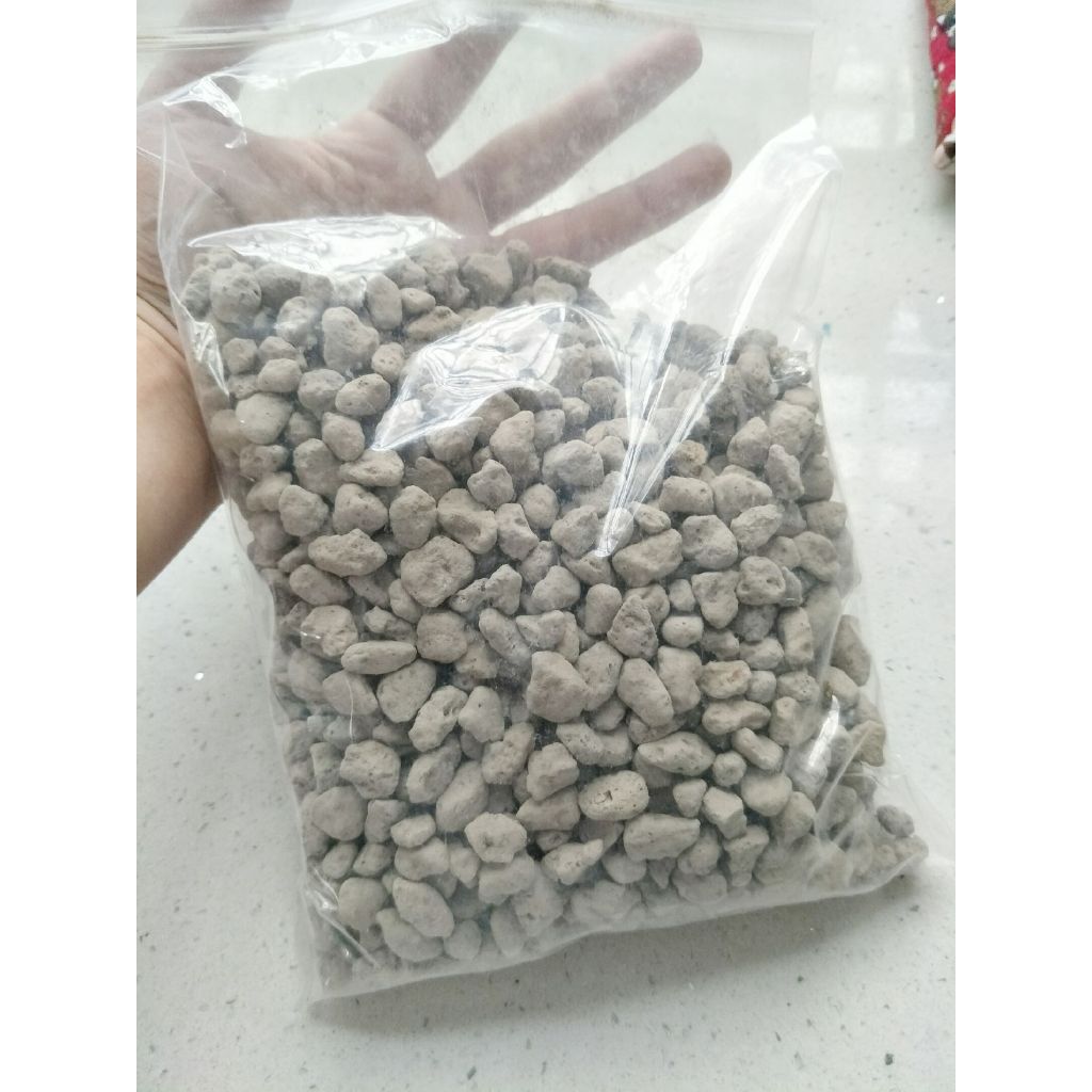 500g pumice stone (1cm size) | Shopee Malaysia