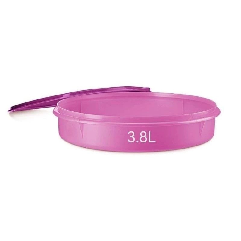 TUPPERWARE TAKE A LOT SMALL 3.8L | Shopee Malaysia