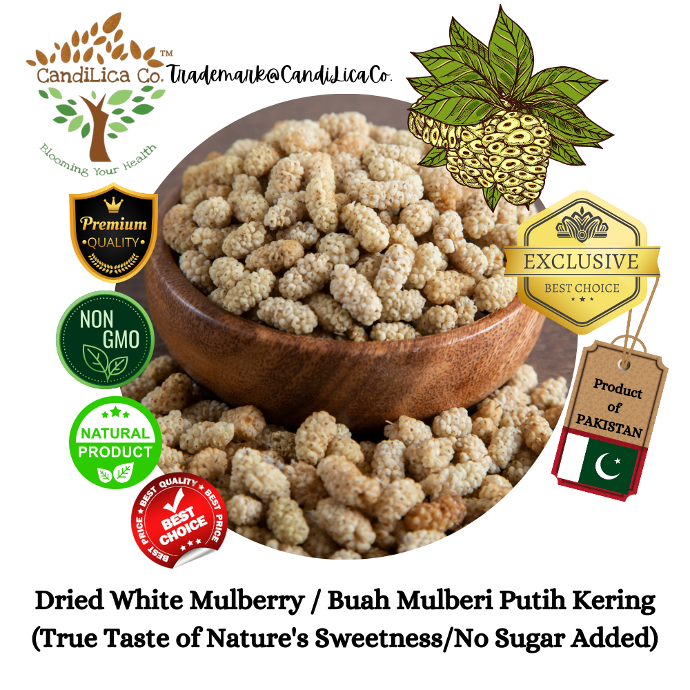 CandiLica Co. Premium Imported Dried White Mulberry / Buah Mulberi ...
