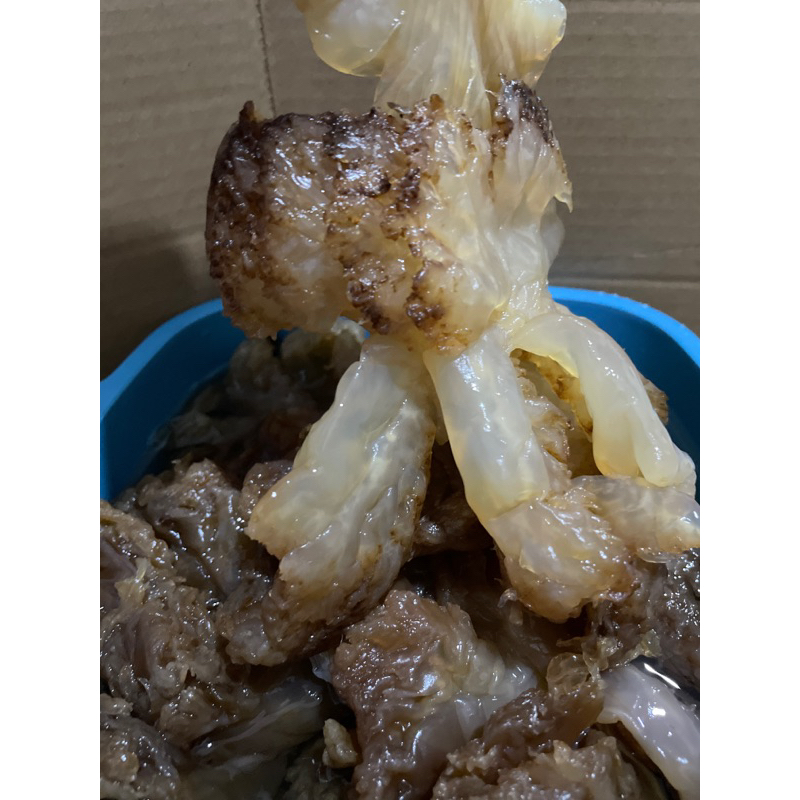 Umai Obor - obor Segar dan Ranggup Sarawak 500g | Shopee Malaysia