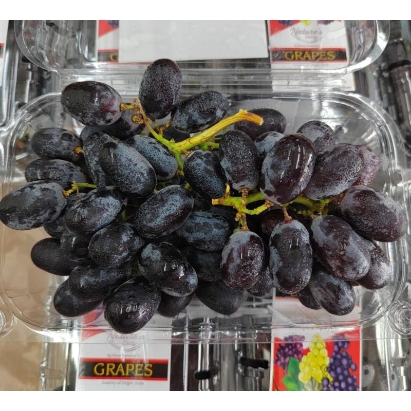 Grape, Fresh SA Black Seedless Grapes 500g± | Shopee Malaysia