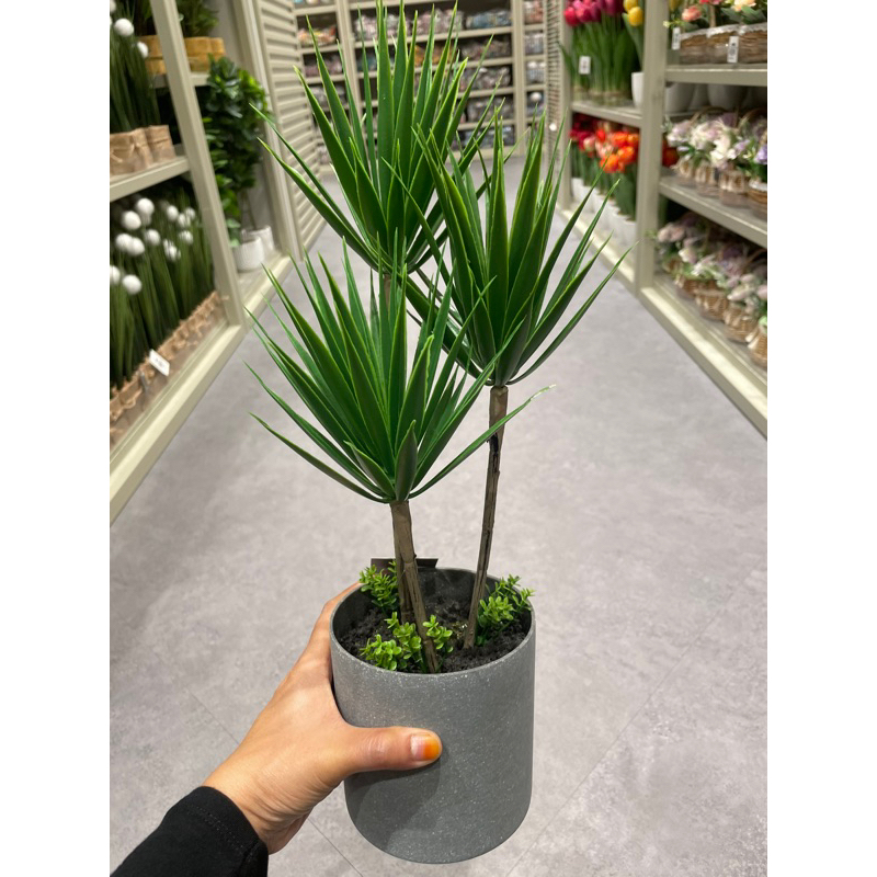 #3 [READY STOCK] Kaison Artificial Plant / Pokok Hiasan Kaison | Shopee ...