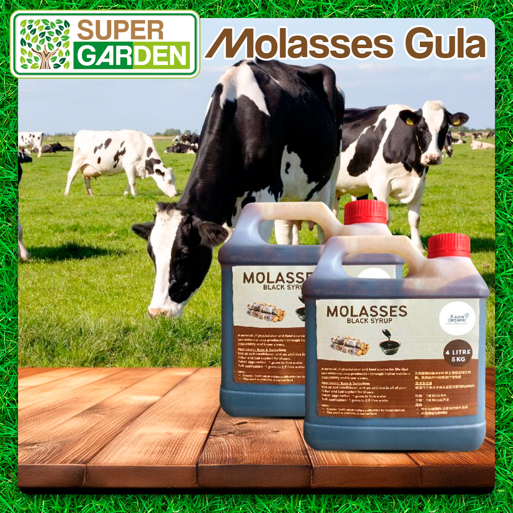 4 Liter Molasses Gula Merah Untuk Pertanian & Penternakan Non-food ...
