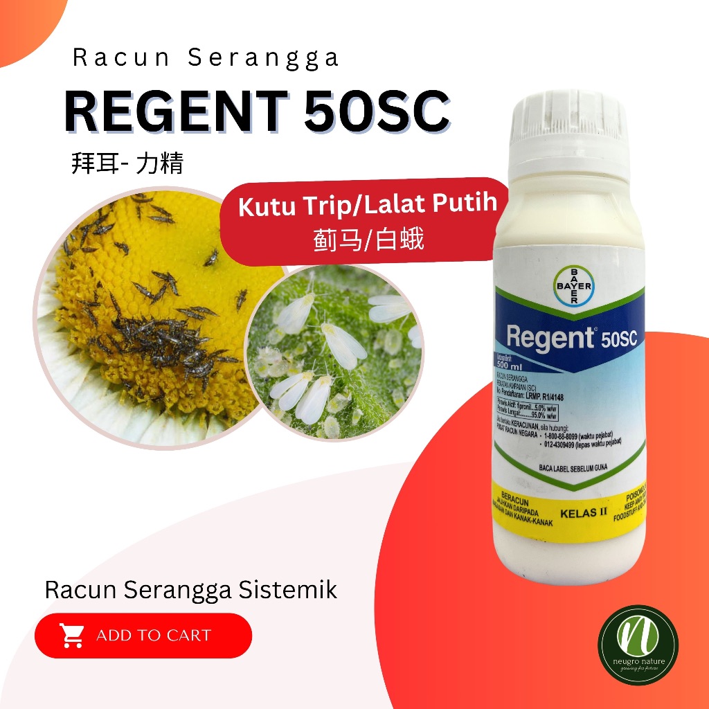 Bayer REGENT 50SC Fiponil 5% Insecticide For Thrips/Plutella Racun ...