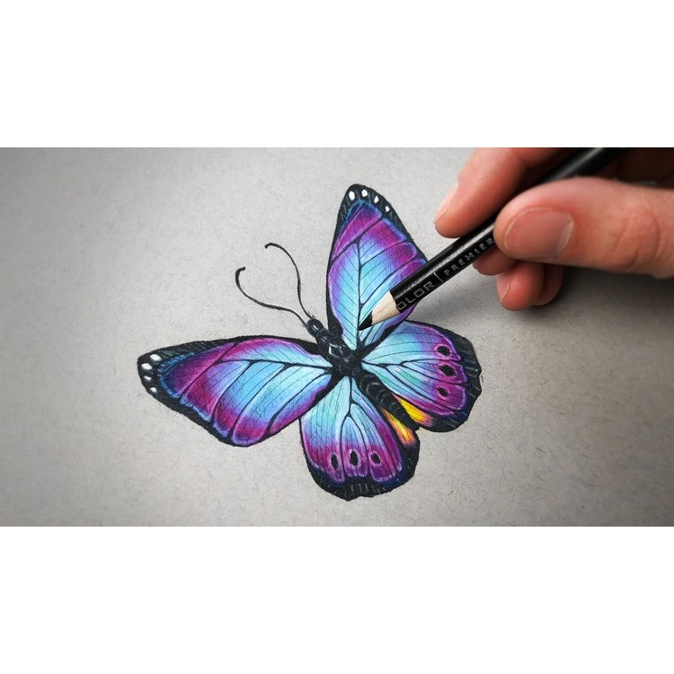( FULL VIDEO COURSE) The Colored Pencil Drawing Course Basics | Shopee ...