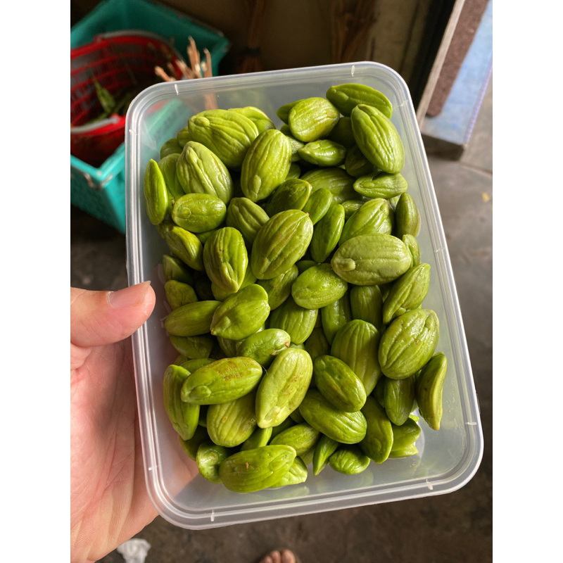 petai isi segar dari bidor - | Shopee Malaysia