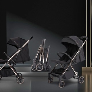 quinton - Prices and Promotions - Feb 2024 | Shopee Malaysia