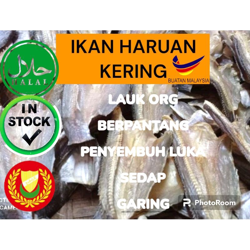 (STOK READY) -- IKAN HARUAN KERING [100 gram]-ikan haruan-ikan air ...
