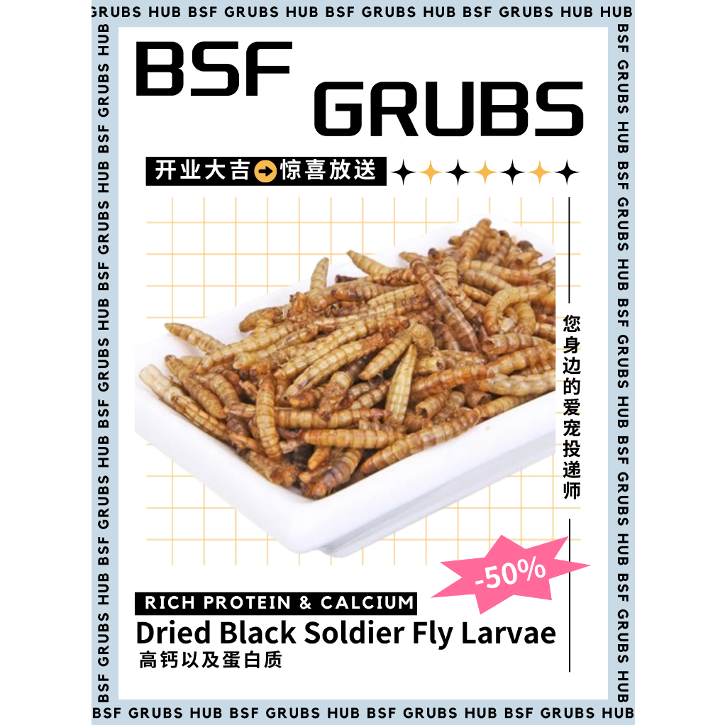 DRIED Black Soldier Fly LARVAE with container, good for chicken, duck ...