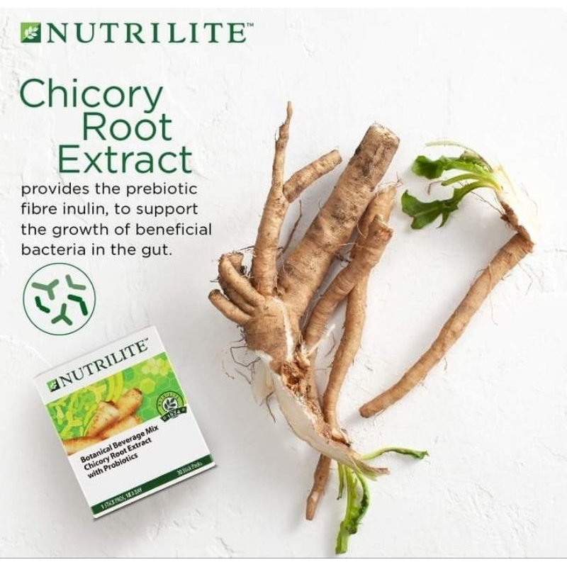 🌸Original🌸Amway Nutrilite Botanical Beverage Mix Chicory Root Extract ...