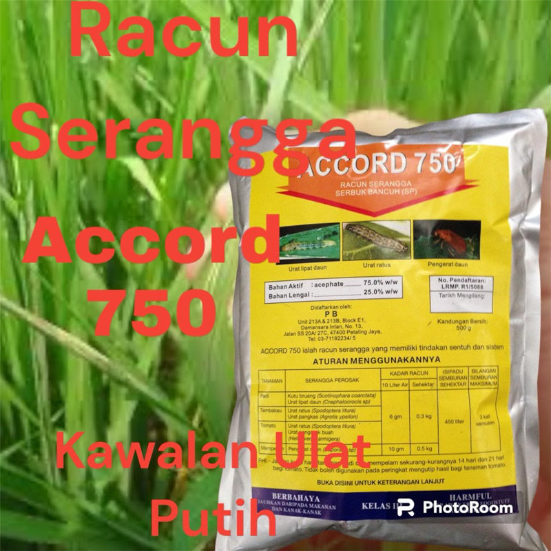 500gm/ Accord 750 / Racun Serangga / Racun Ulat / Racun Ulat Putih Padi / Racun Semua Jenis ...
