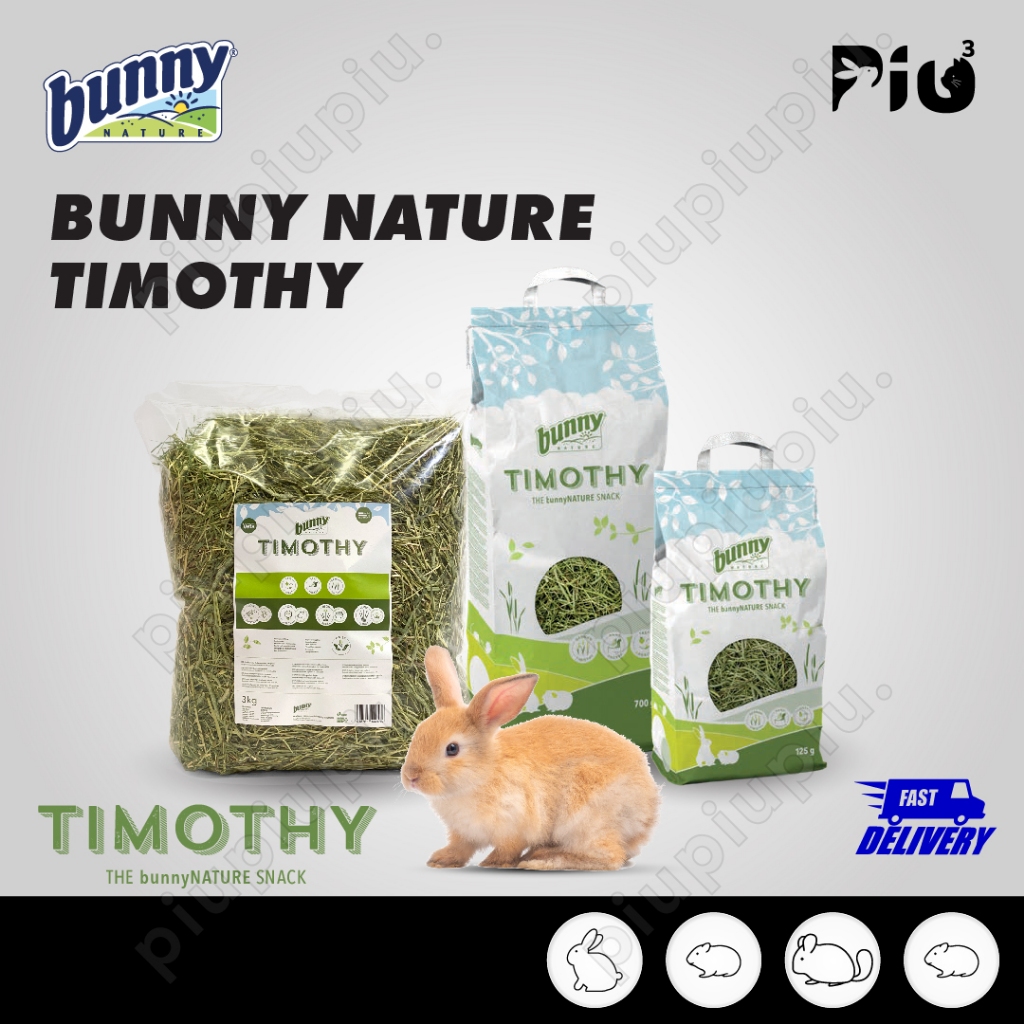 [B1F1] BUNNY NATURE TIMOTHY HAY 1st Cut Hay Rabbits Guinea Pigs ...