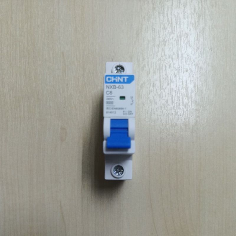 Chint NXB-63 6-40A 1P 6KA MCB | Shopee Malaysia