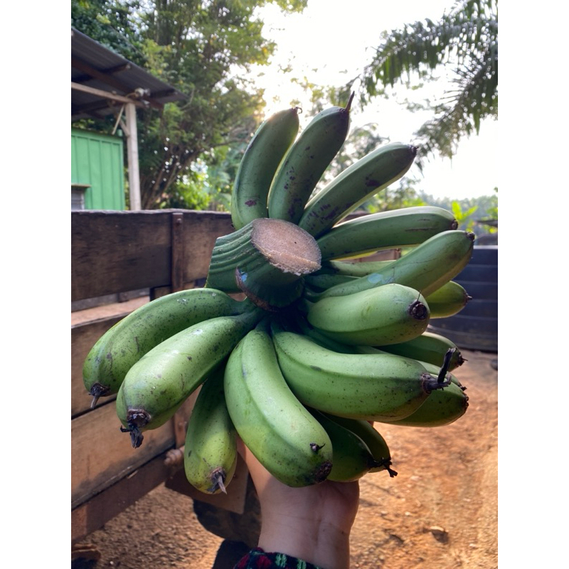 Pisang Berangan 🍌 Banana 红肉蕉1.6kg | Shopee Malaysia