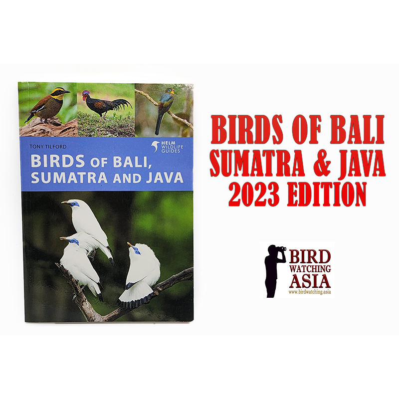 Birds of Bali Sumatra Java Indonesia Book Helm Field Guide 2023 ...