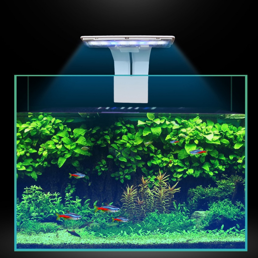AQUARIUM KTM-218 RGB COLOUR MODE mini Fish shrimp betta Aquarium Led ...