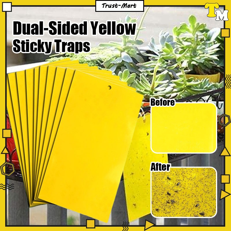Pelekat Serangga Pelekat Lalat Insect Yellow Sticky Trap Double Sides ...