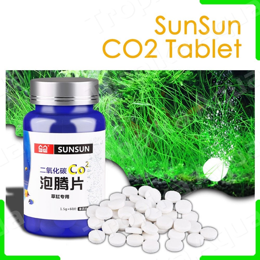 SUNSUN CO2 Tablet - aquarium aqua plant co2 60 tablets | Shopee Malaysia