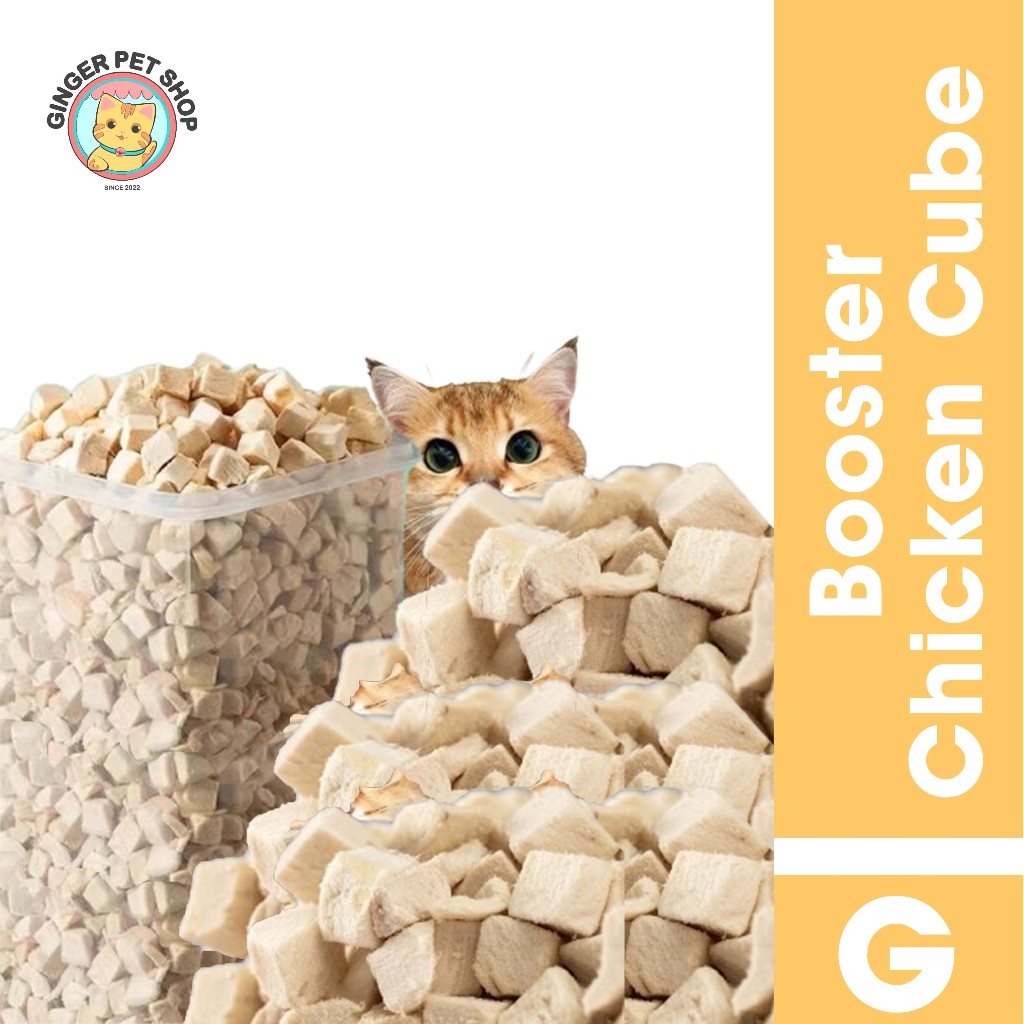 Booster Chicken Cube High Protein Makanan Kucing Pet Food Cat Food Dog ...