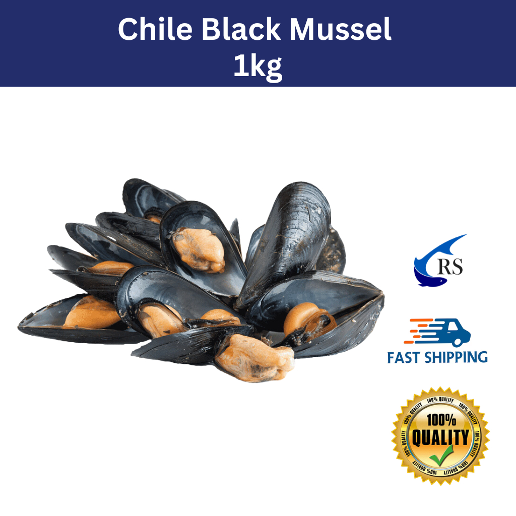 Premium Quality Chile Black Mussel (1kg) Kupang Hitam 智利黑贻贝 黑贻贝 贻贝 ...