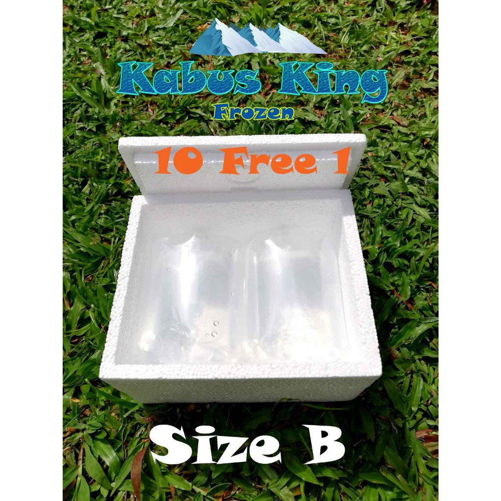 Kabus/Gabus/Styrofoam Box/ Foambox /Good Day Foam/Mini Box/Betta Box ...