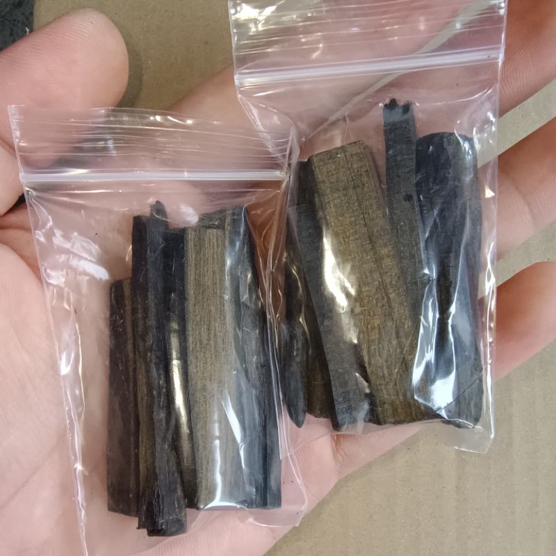 【Teras Kayu Kemuning Hitam】 1001 Khasiat || Kemuning hitam asli (Pack ...