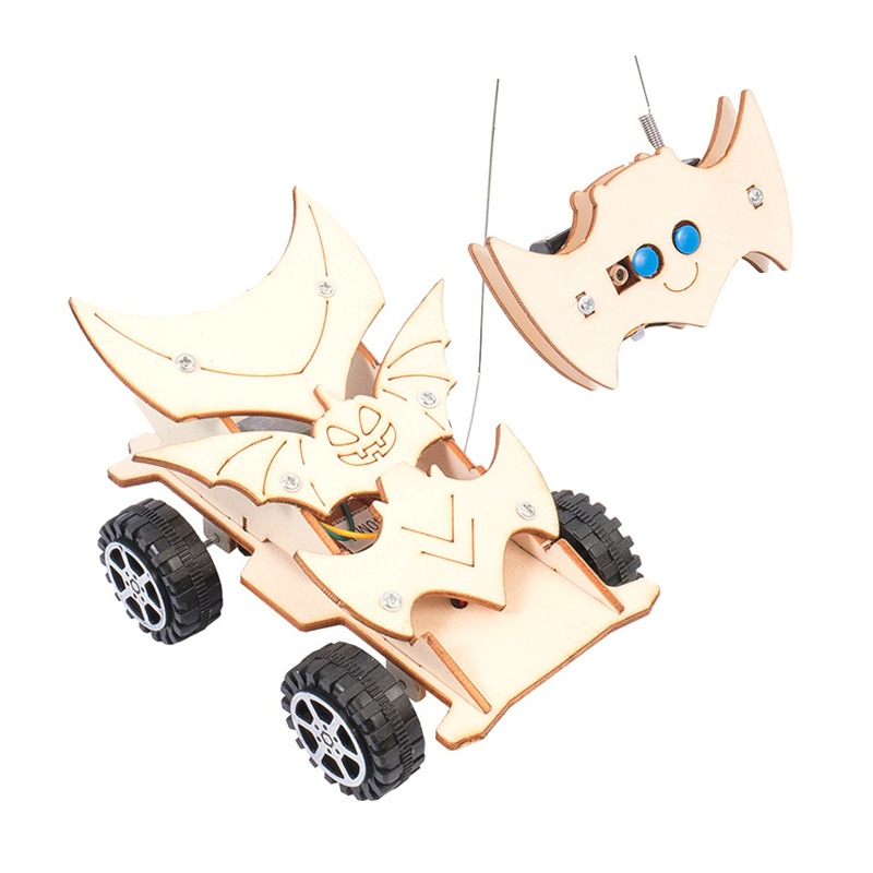 PROJECT RBT/DIY Assembled RC Racing Car Model Kit Wooden Kids Science ...