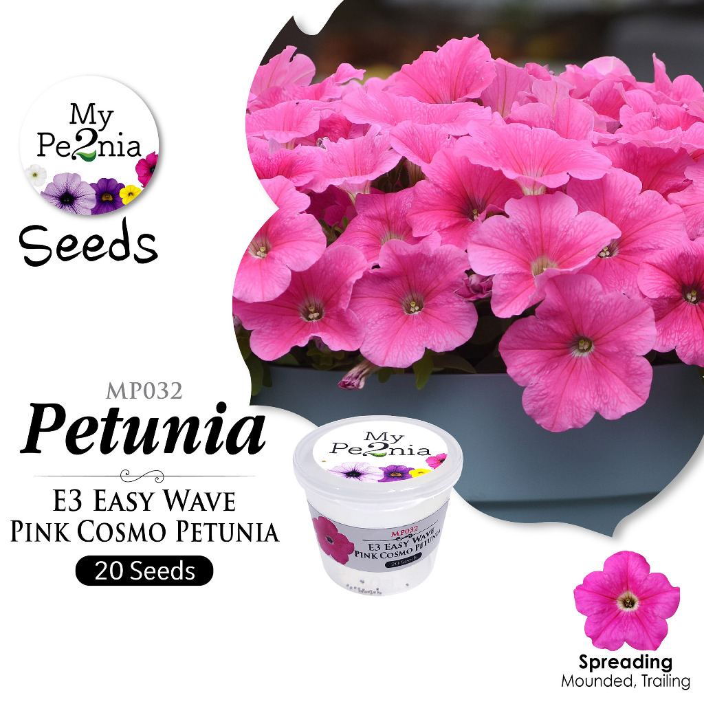 MyPe2nia [Petunia Seeds] E3 Easy Wave Pink Cosmo Petunia (20 Seeds ...