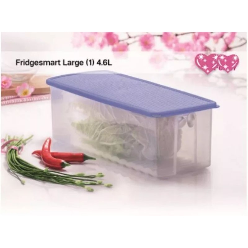 Tupperware Fridge Smart Large (1pc) 4.6L | Shopee Malaysia