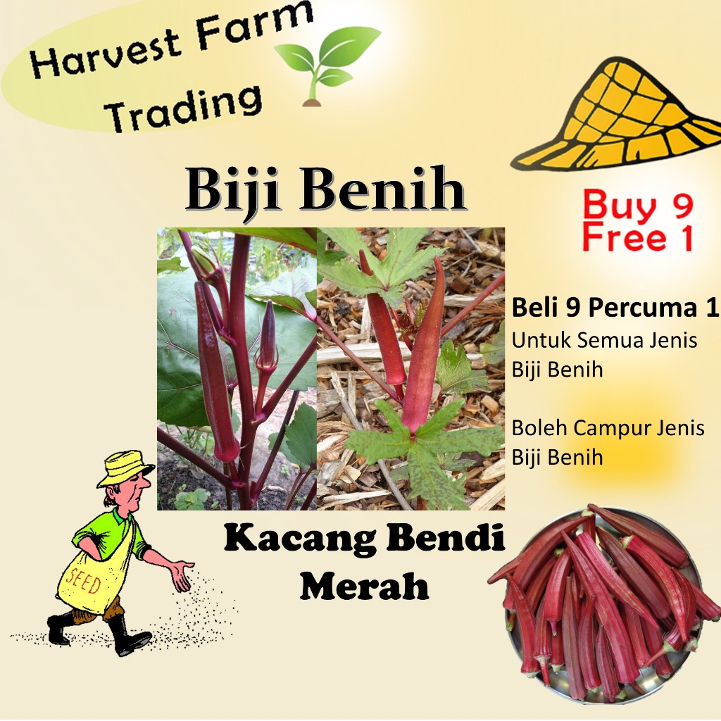biji benih sayur sayuran pelbagai bunga vegetable seed bibit anak pokok ...