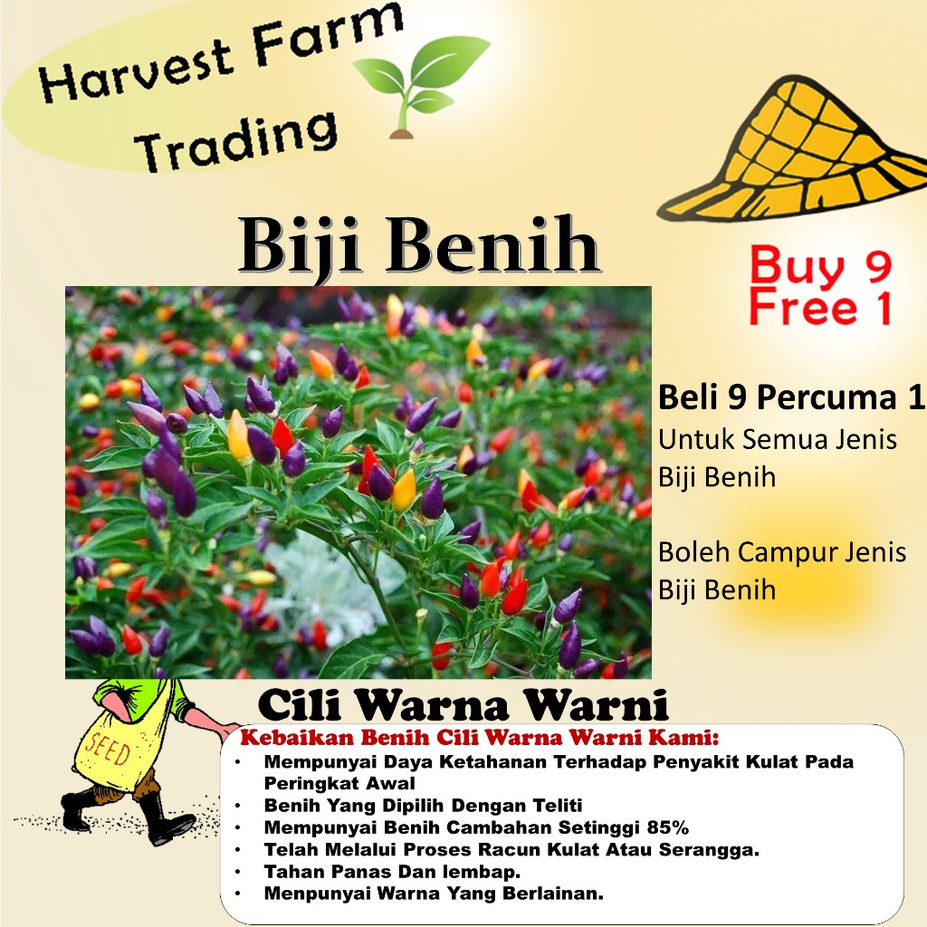 biji benih sayur sayuran pelbagai bunga vegetable seed bibit anak pokok ...