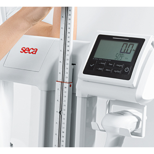 SECA 797 Measuring Station With Measuring ROD 250KG, 230CM + Adapter ...