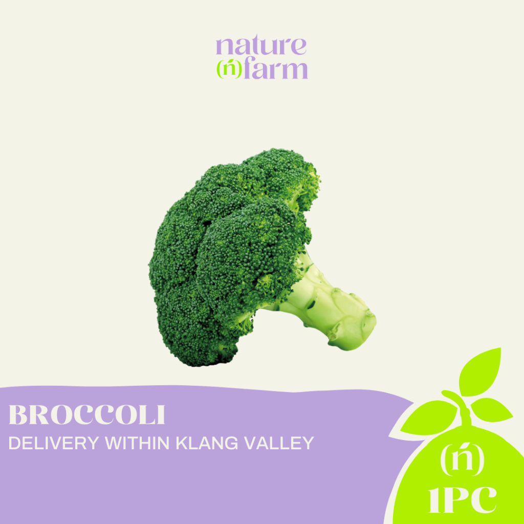 Nature Farm Fresh Broccoli (1pc) | Shopee Malaysia