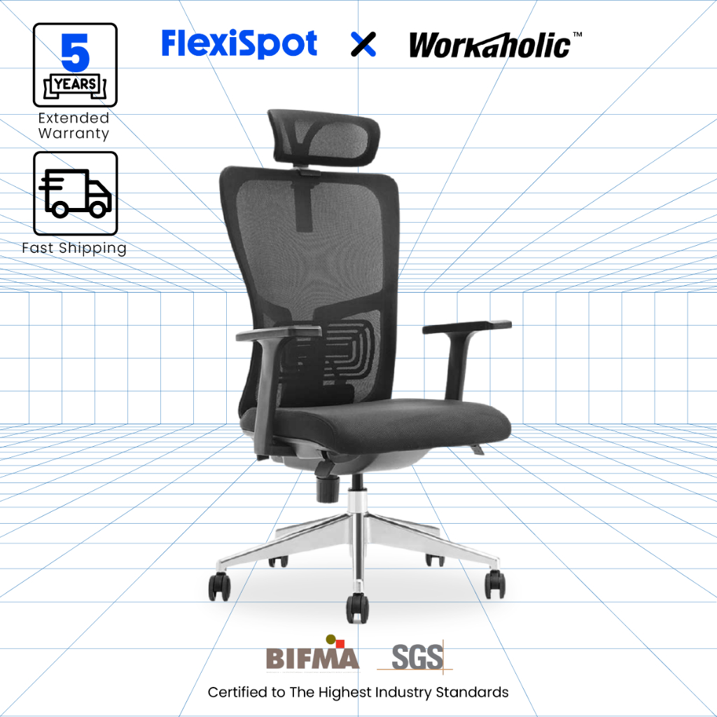【I-SPECTRE】High Back Mesh Ergonomic Office Chair 10Years Extended ...