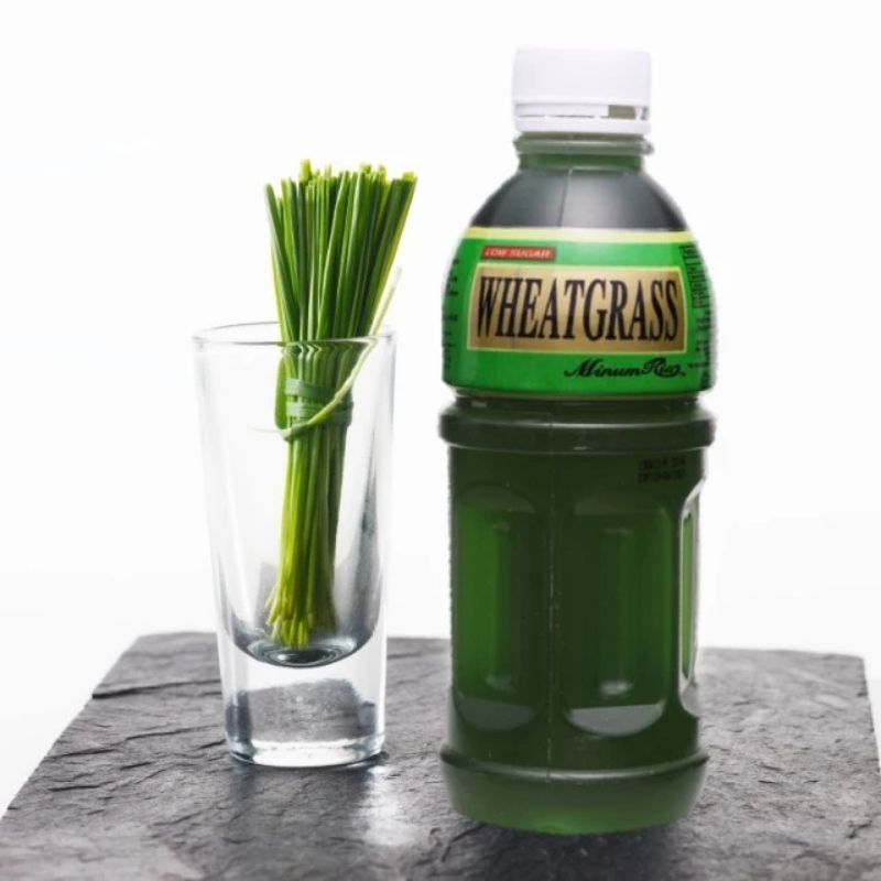WheatGrass Flavor Drink 320ml 小麦草 饮料 | Shopee Malaysia