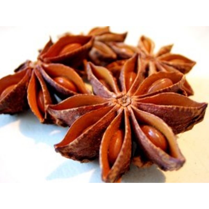 LAVAGAM POO / BUNGA LAWANG | Shopee Malaysia