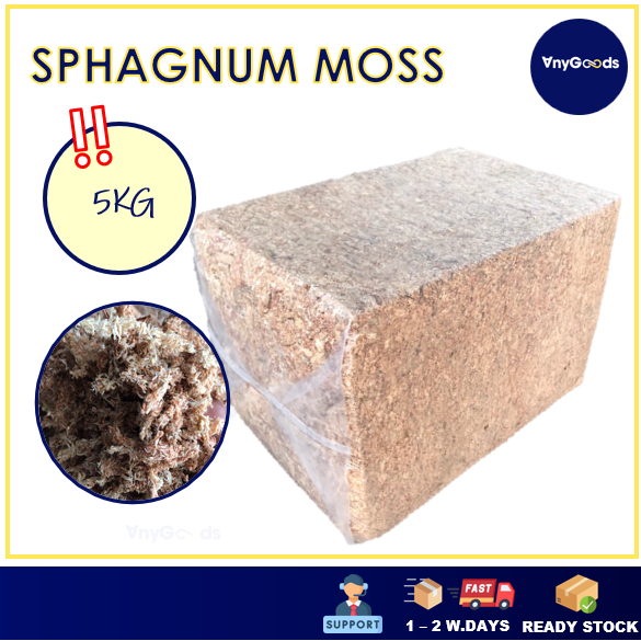 [5KG] AnyGoods Sphagnum Moss Phalaenopsis Orchid Bonsai Nepenthes Fern ...