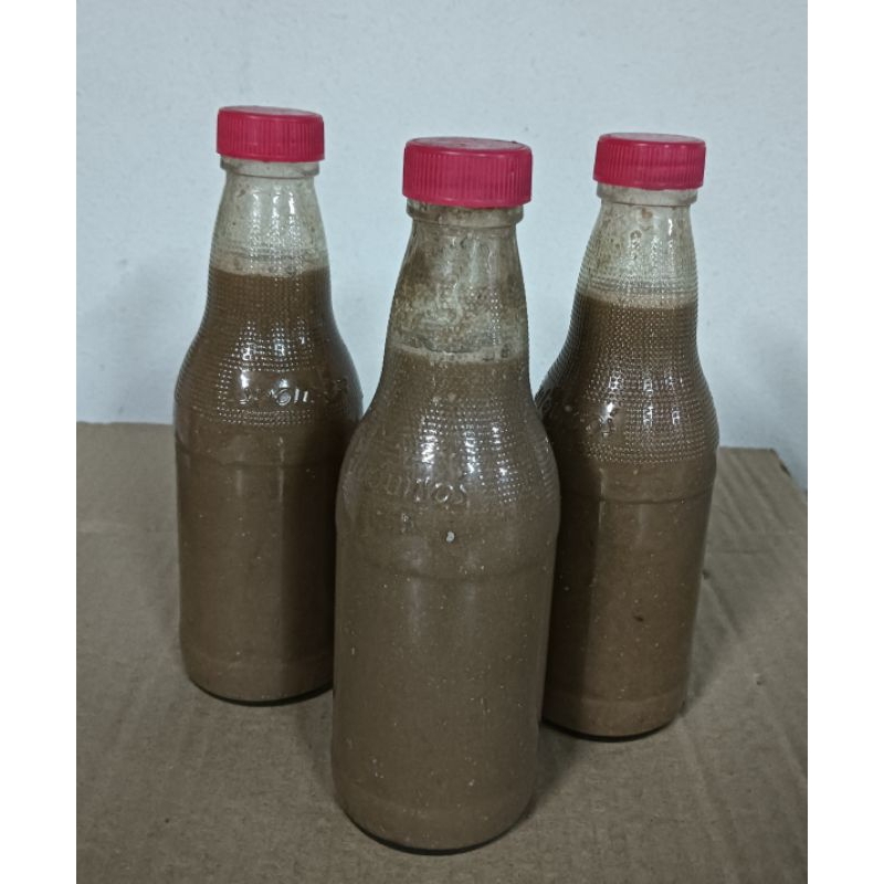 Budu Tempayan Pengkalan Batu Pasir Mas (1 Botol 450ML) | Shopee Malaysia