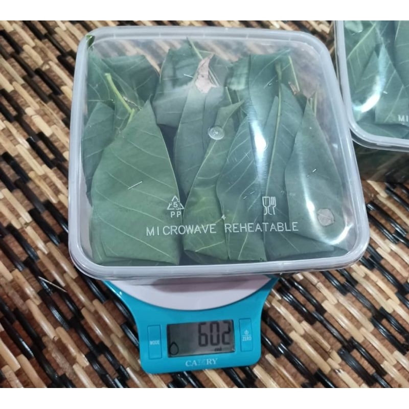 TAPAI PULUT HOME Made DAUN GETAH DAN PISANG | Shopee Malaysia