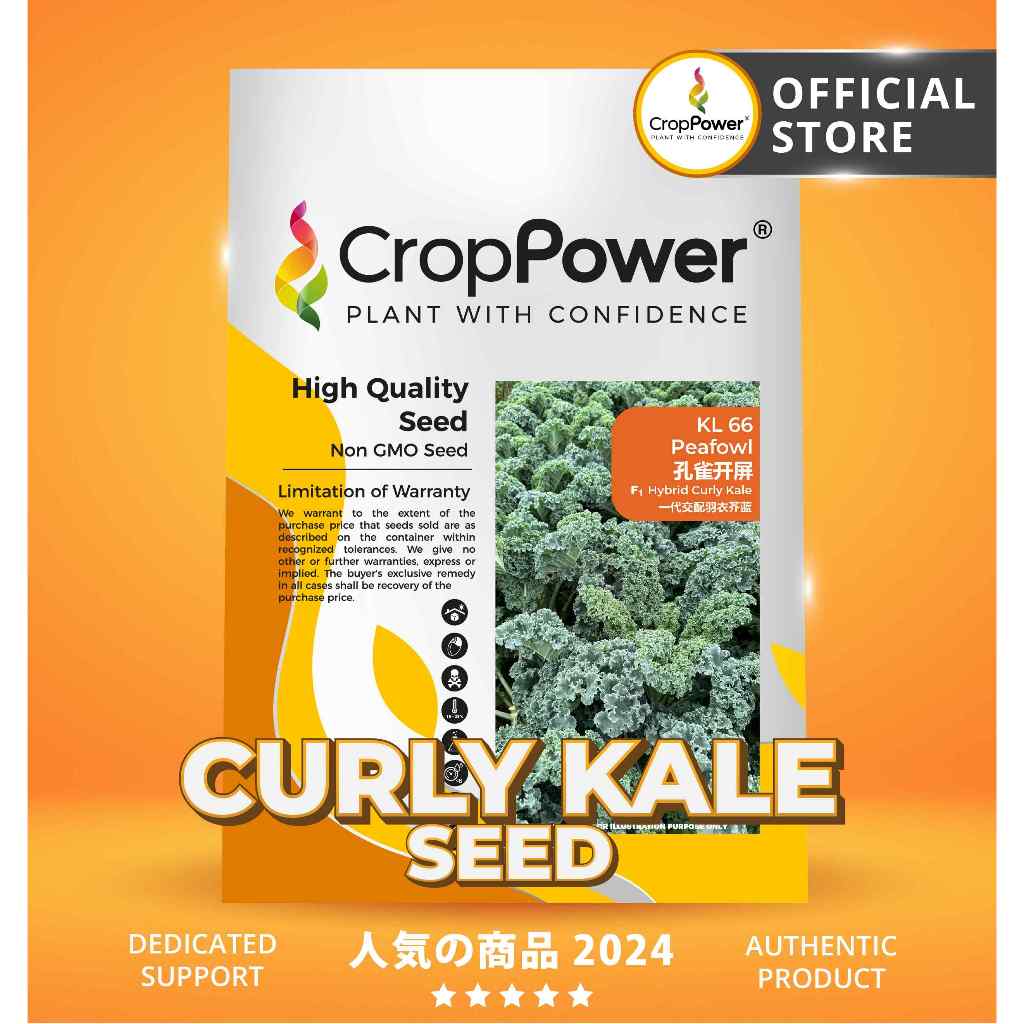 (1,000 SEEDS) Biji Benih Kailan Kerinting Peafowl KL66 CROP POWER F1 ...
