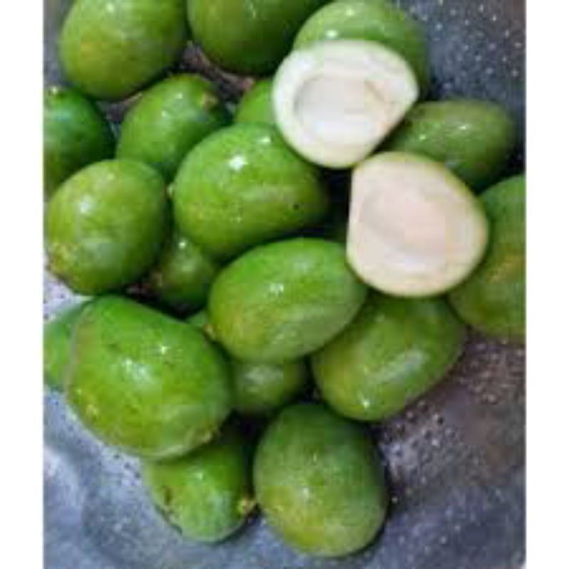 Mangga Muda 1KG,Mangga Epal/Telor | Shopee Malaysia