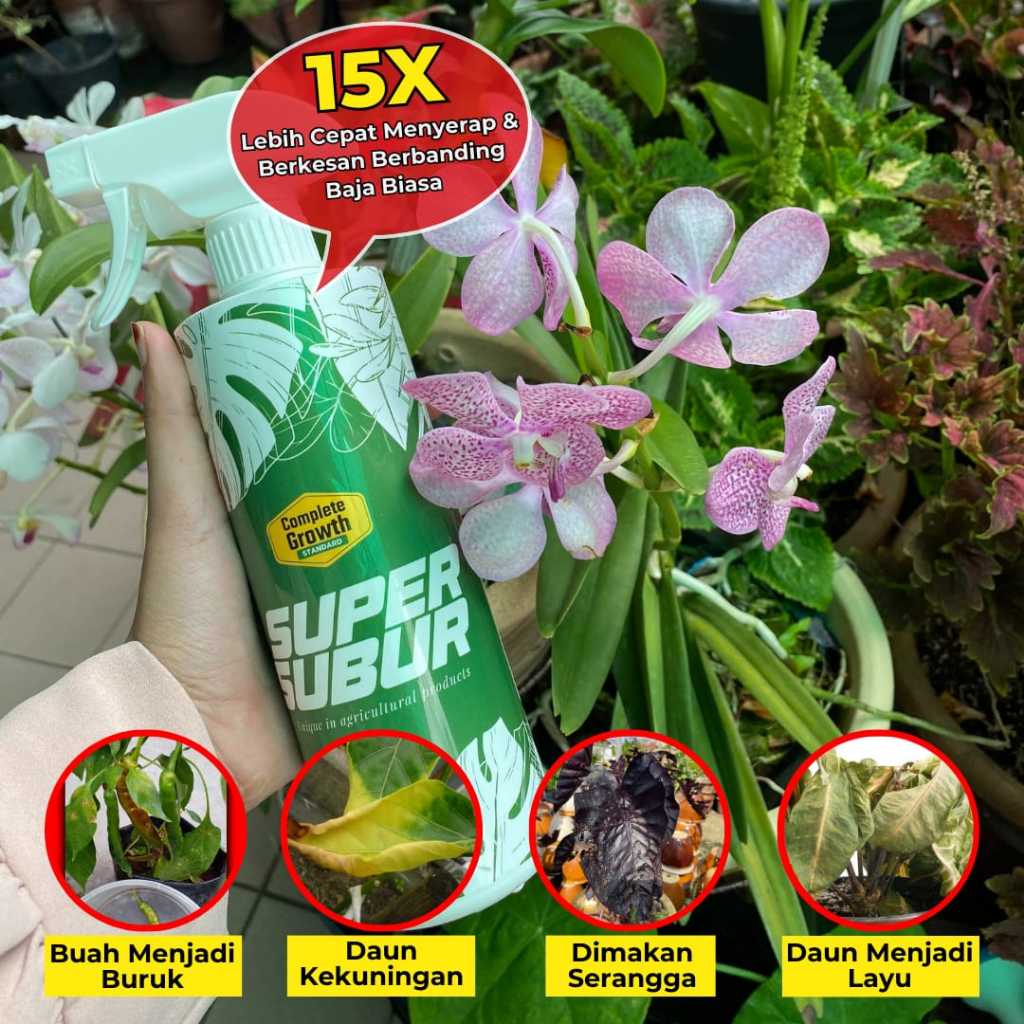 Baja Super Subur/Baja Gemuk/Baja Organik/Baja/Baja Kopi/Baja Orkid/Baja ...