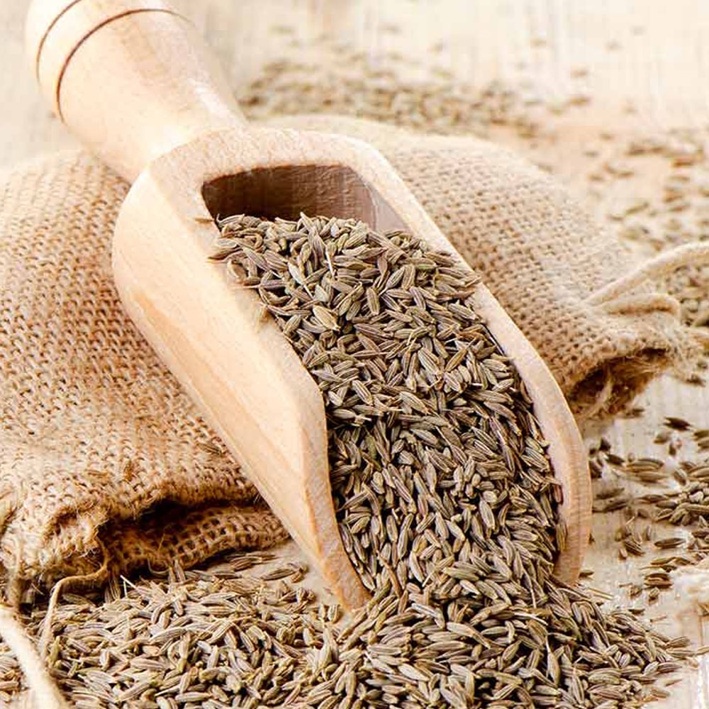 Safaid Zeera White Cumin سفید زیرہ Jintan Putih White 白孜然 100g | Shopee ...