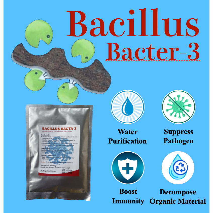 Bacillus Bacta-3 Aquaculture Water Probiotic Fish and Shrimp 100gm ...