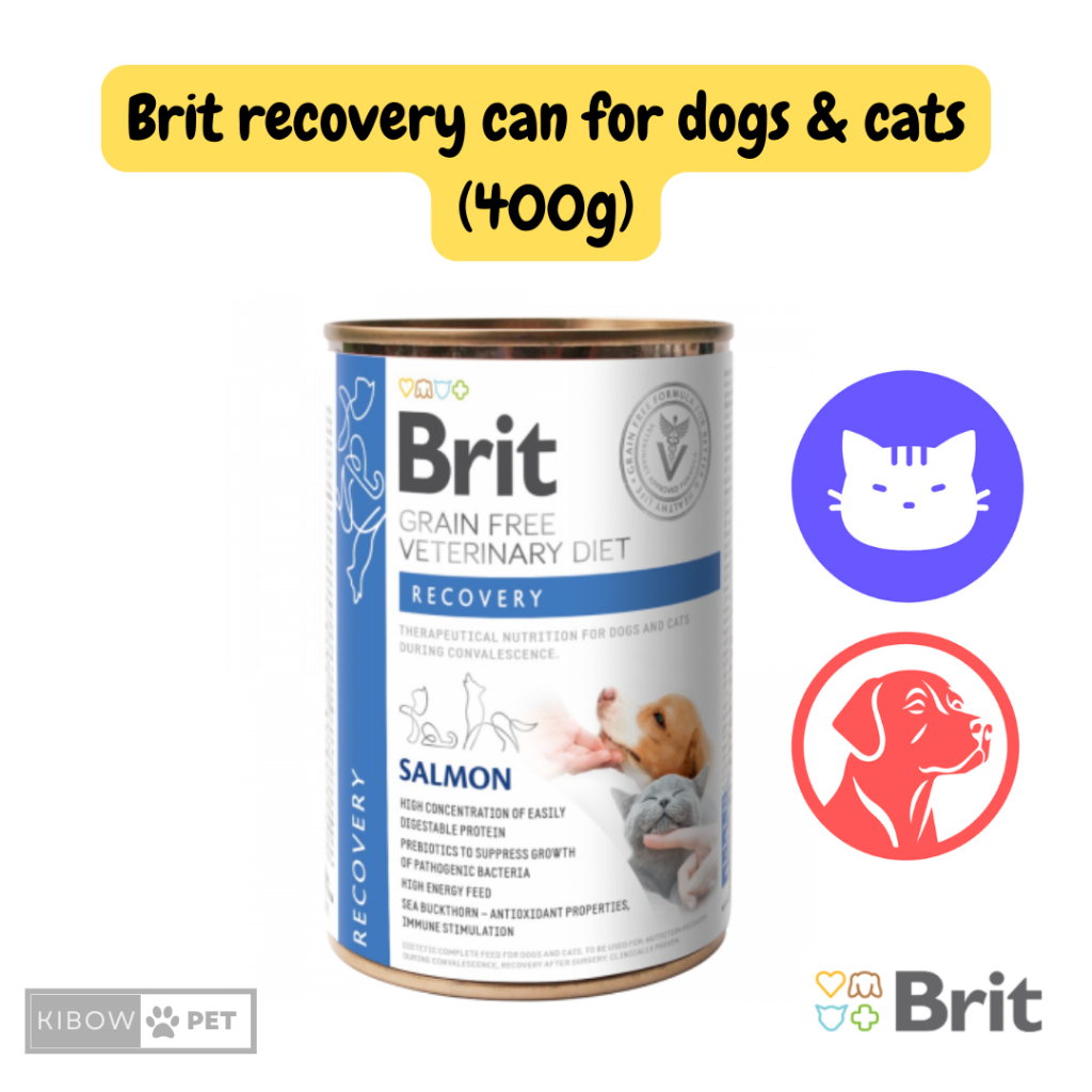 Brit Recovery Can for Dogs & Cats 400g x 1 can | Shopee Malaysia