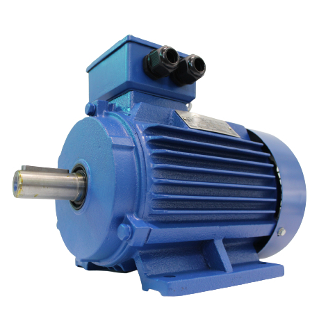 EleDelta 22KW/30HP/415V/50Hz/B3 three phase induction motor Cast Iron | Shopee Malaysia