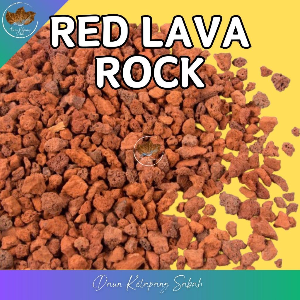 (1KG) RED LAVA ROCK/ BATU LAVA MERAH BATUAN GUNUNG BERAPI | Shopee Malaysia