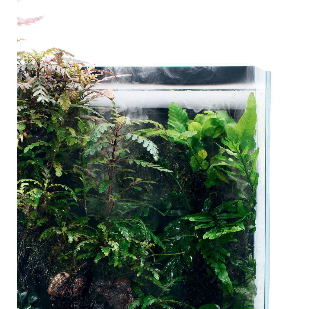 DOOA Mistflow Cap , Mistflow C Plug nature's foggy landscapes for Palludarium and Aquarium ...